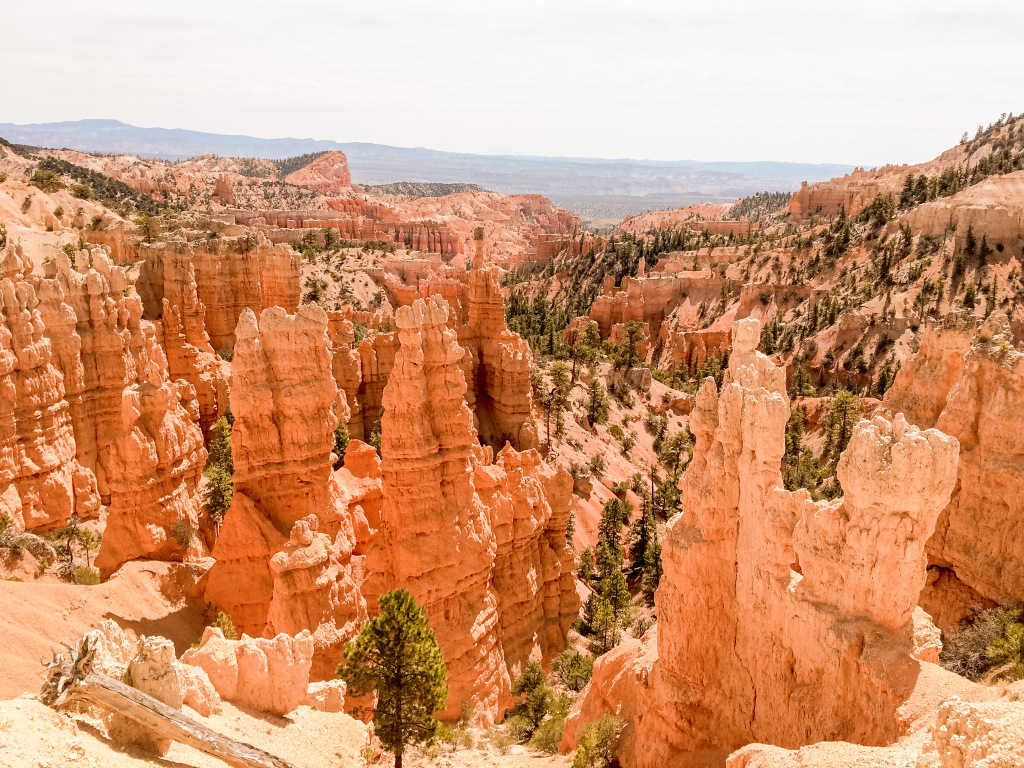Your Guide to Bryce Canyon and Area