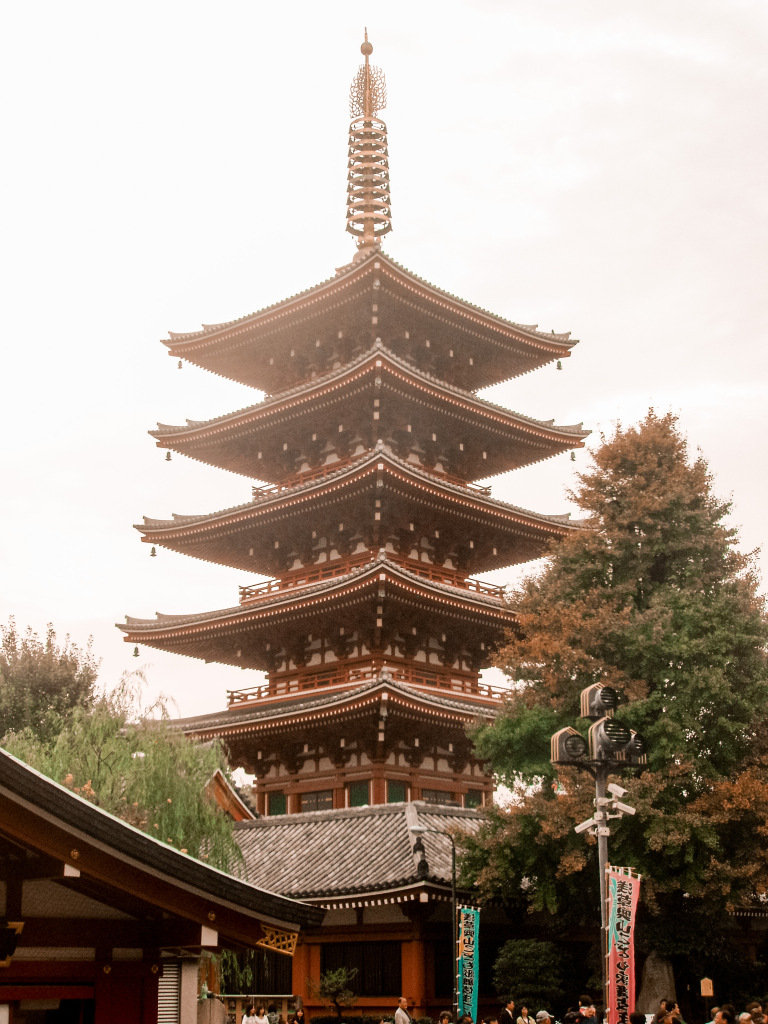 48 hours in Toyko – The Perfect Itinerary