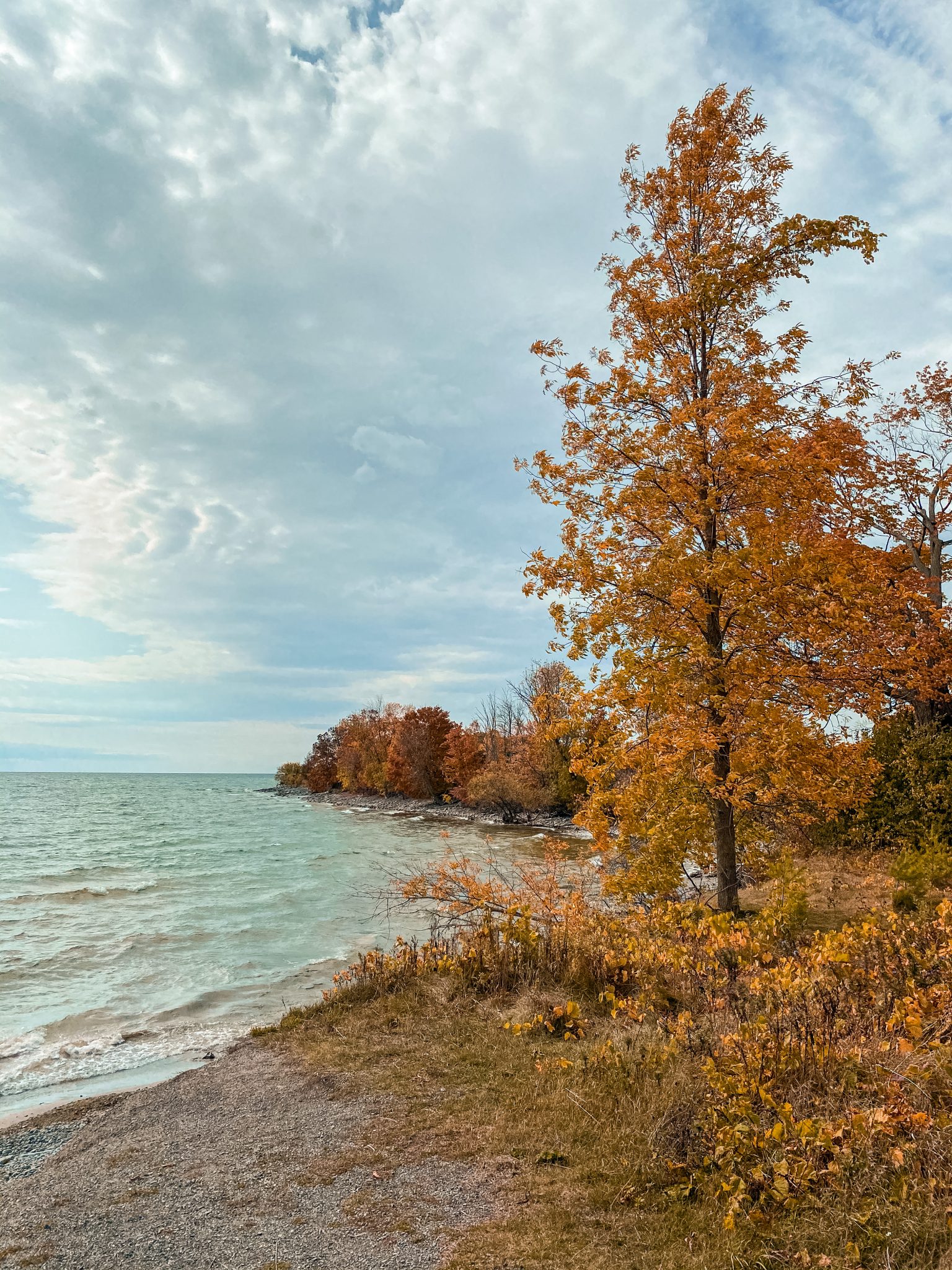 Your Guide To Prince Edward County